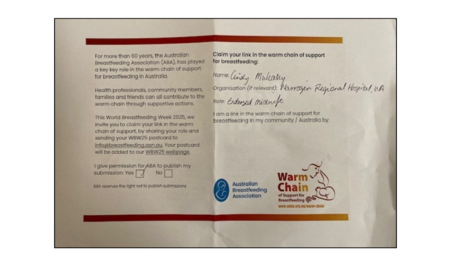 The warm chain of support for breastfeeding in Australia | Australian ...