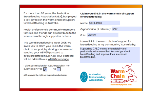 The warm chain of support for breastfeeding in Australia | Australian ...